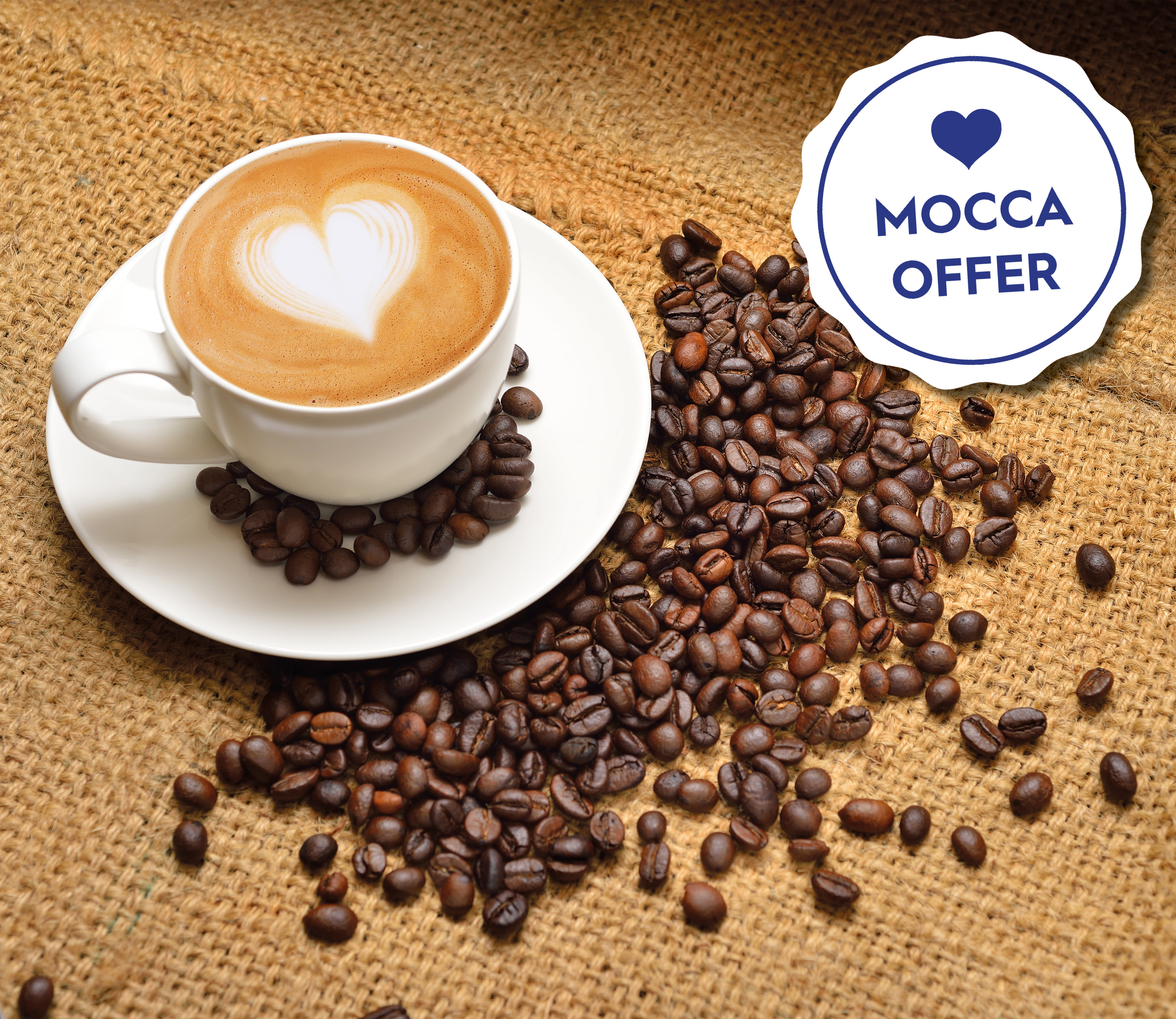 Mocca - VIANESSE