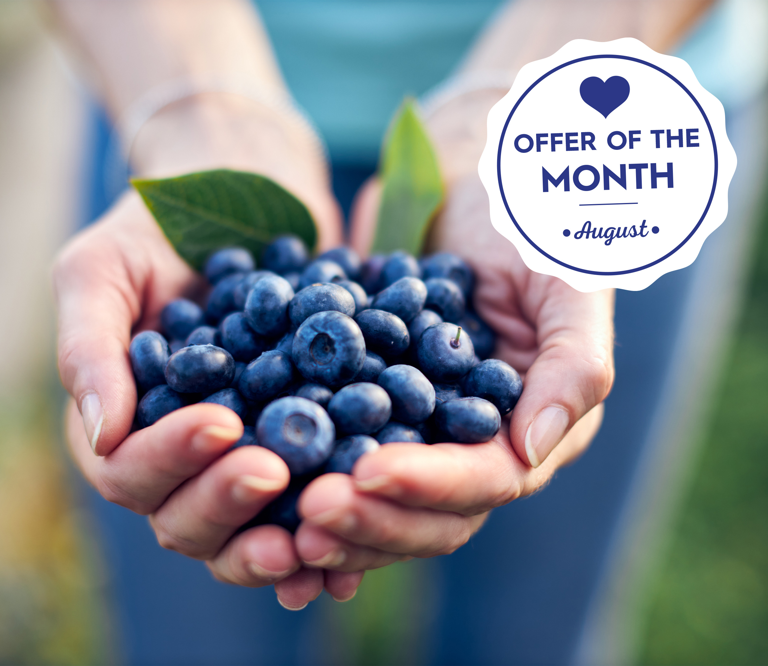 VIANESSE - Respected by nutritionists and discussed by experts.