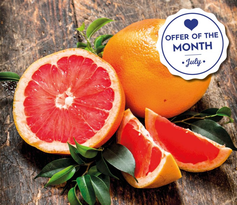 VIANESSE - Respected by nutritionists and discussed by experts.